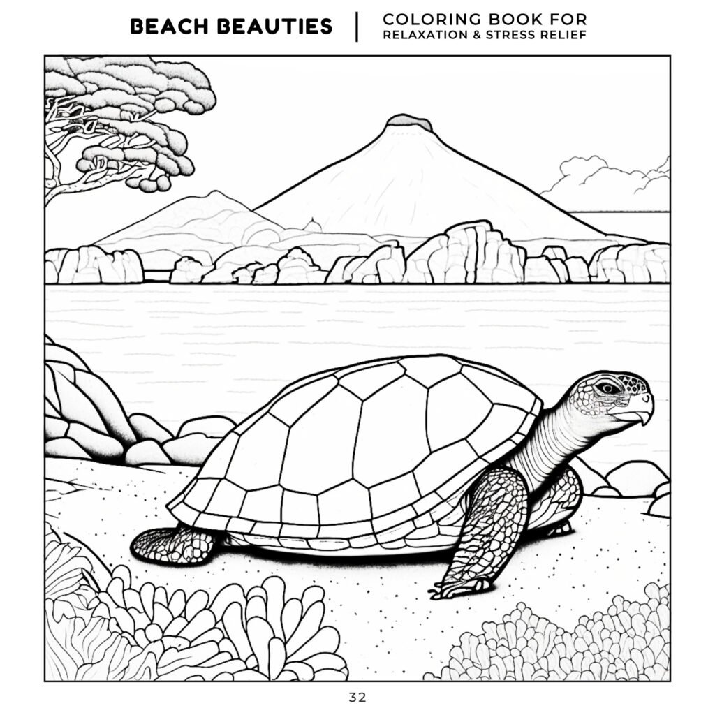 30 Beach Beauties Coloring Book Coastal Theme for Relaxation